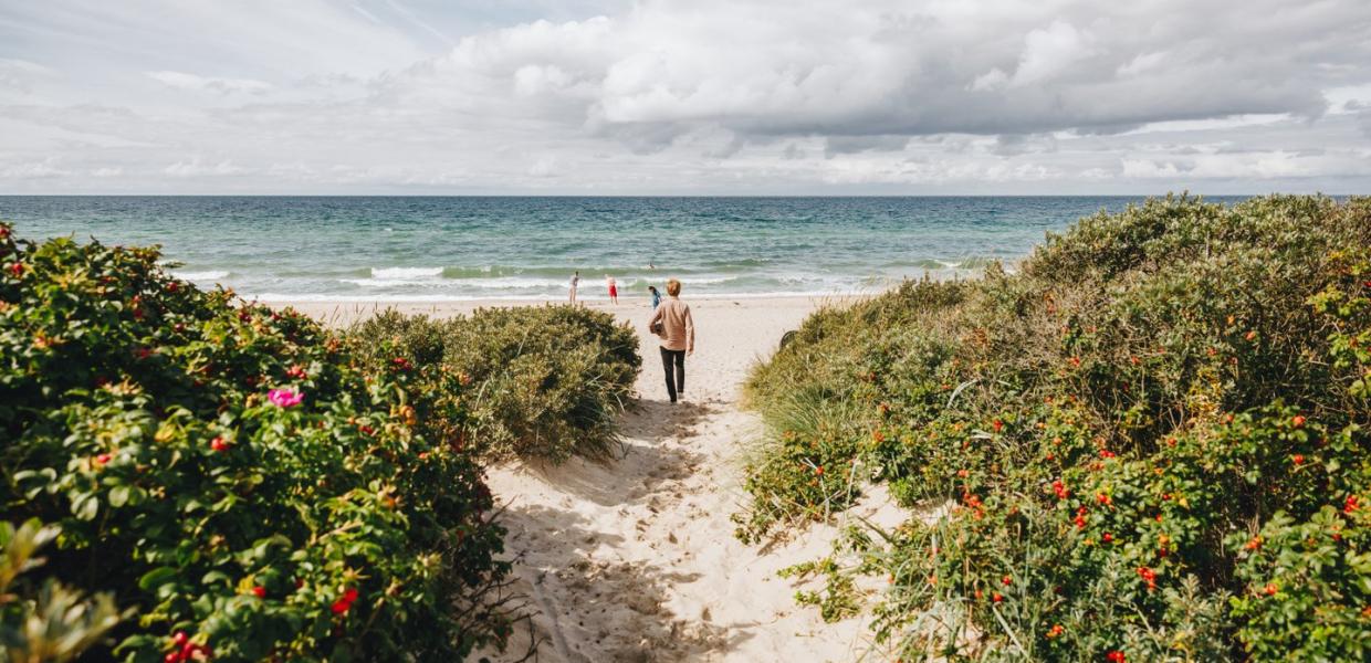 Nordsjælland | Hyggelige kystbyer og imponerende slotte i Kongernes ...